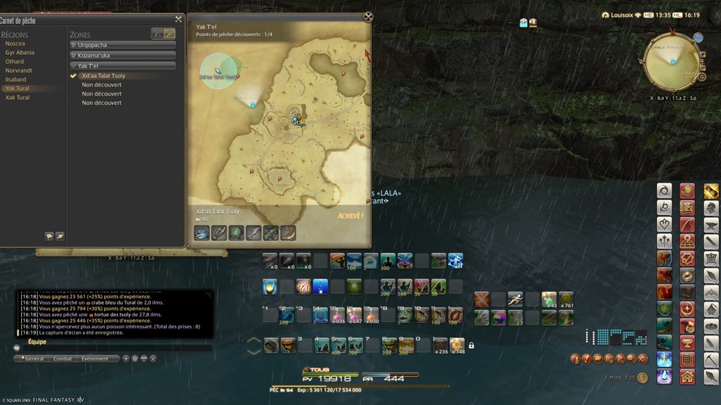 Eorzea Database: Tsoly Turtle | FINAL FANTASY XIV, The Lodestone