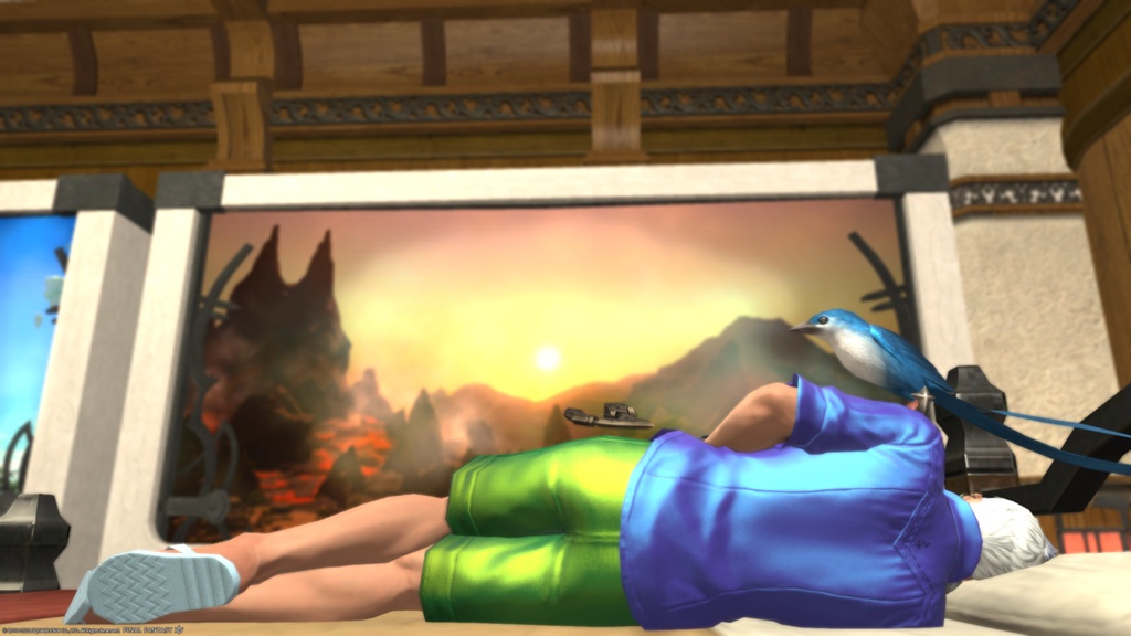 Motoki W-v 日記「自室での休息」 | FINAL FANTASY XIV, The Lodestone