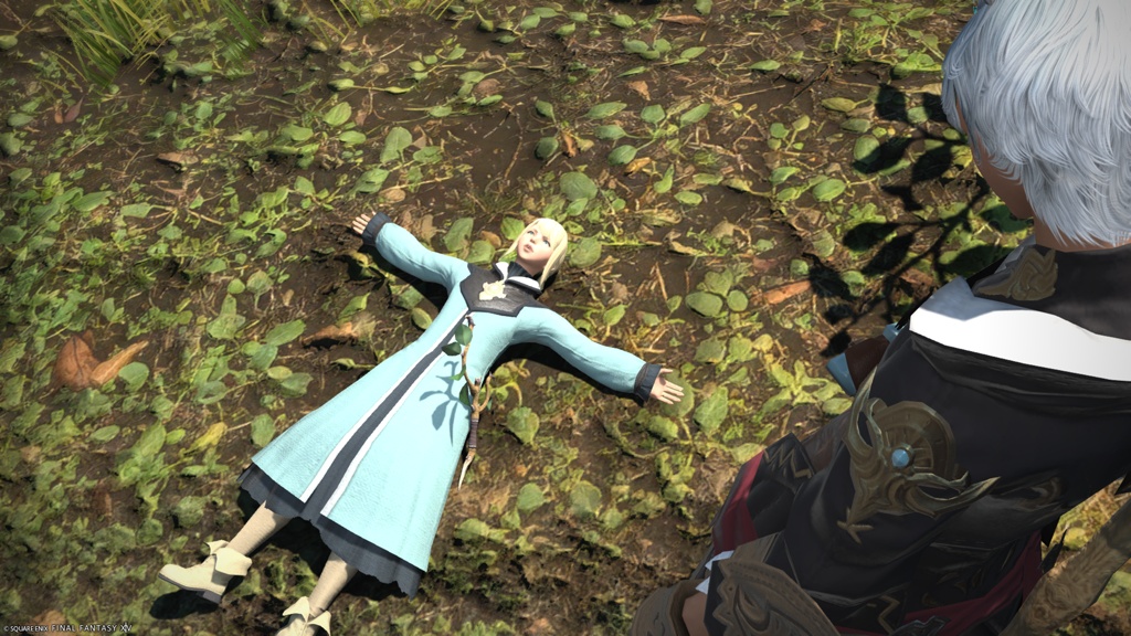 Spike Merlin 日記「ヒーラーさんって実は怖い？ ①」 | FINAL FANTASY XIV, The Lodestone