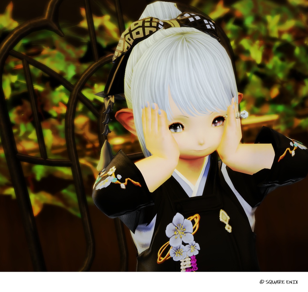 Sakura Saku' 日記「むに～🐾」 | FINAL FANTASY XIV, The Lodestone