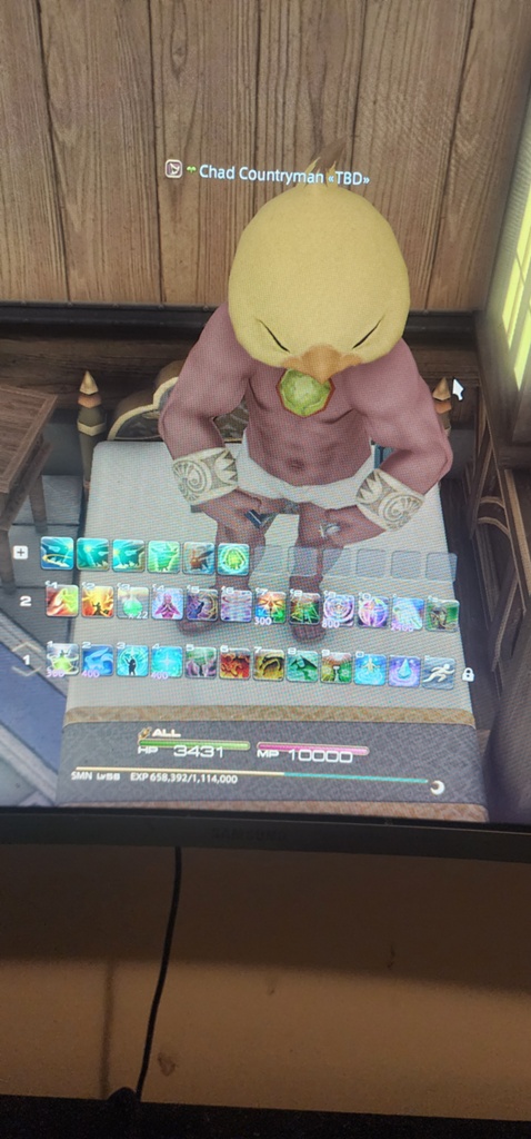 Chad Countryman Blog Entry `Posing in the FC house` | FINAL FANTASY XIV ...