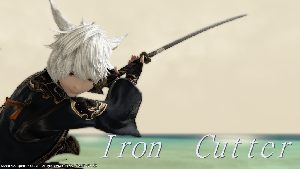 Tsubame Sora Blog Entry `SS 斬鉄剣` | FINAL FANTASY XIV, The Lodestone