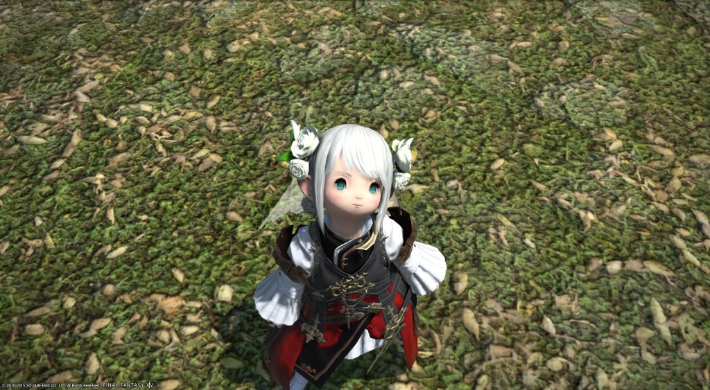 San Gria 日記「悪い魔女に変身させられたのさ」 | FINAL FANTASY XIV, The Lodestone