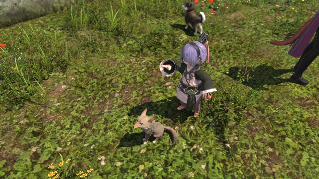 Eorzea Database: Squeak the Coyote | FINAL FANTASY XIV, The Lodestone