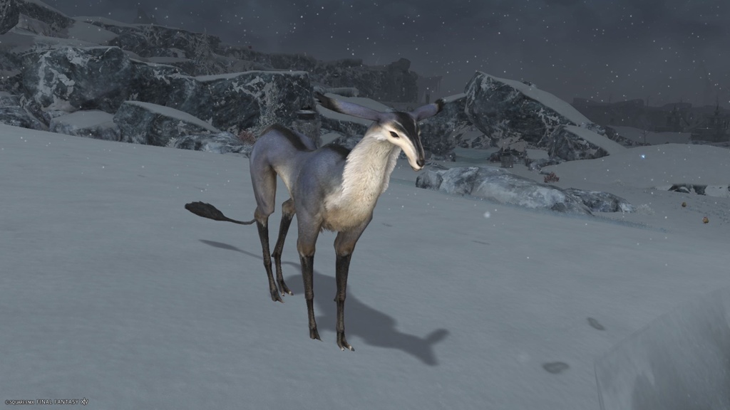 Ateth Rao 日記「無さん消えちゃった、、、」 | FINAL FANTASY XIV, The Lodestone