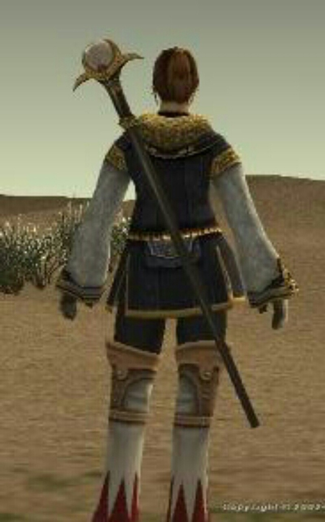 Wyrm Astonisher 日記「FF11コラボイベント」 | FINAL FANTASY XIV, The Lodestone