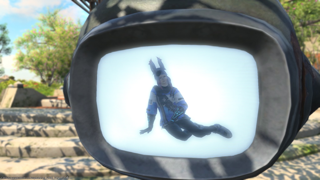 Sharon Whitlock 日記「マウントたくさん！」 | FINAL FANTASY XIV, The Lodestone