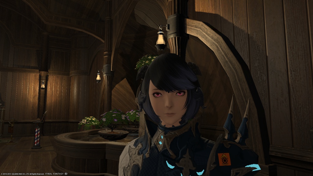 Tsuki Yumi Blog Entry `Miqo'te to Au Ra!` | FINAL FANTASY XIV, The ...