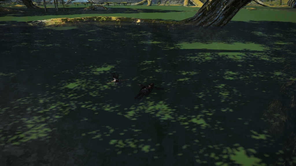 Rose Evelyn 日記「Just keep floating, floating, floating」 | FINAL FANTASY ...