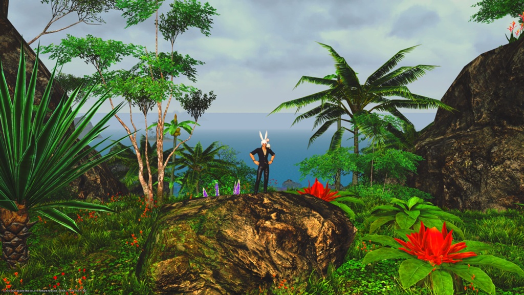 Moco Luke 日記「無人島はじめました」 | FINAL FANTASY XIV, The Lodestone