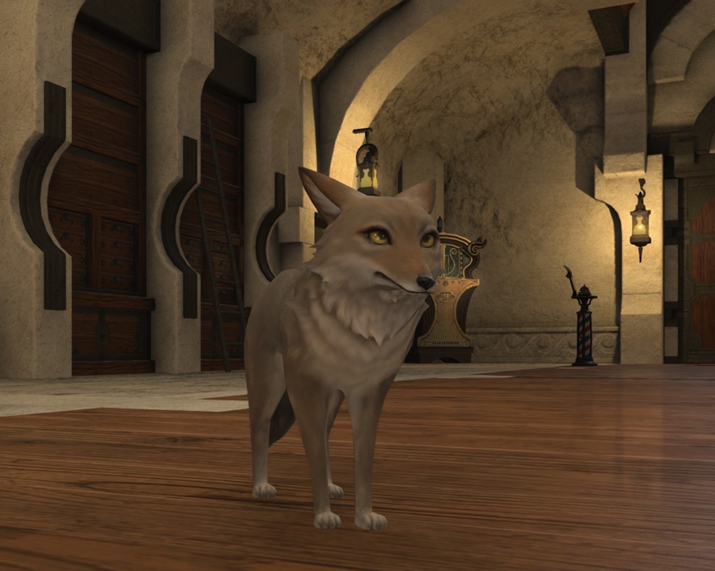 Eorzea Database: Squeak the Coyote | FINAL FANTASY XIV, The Lodestone