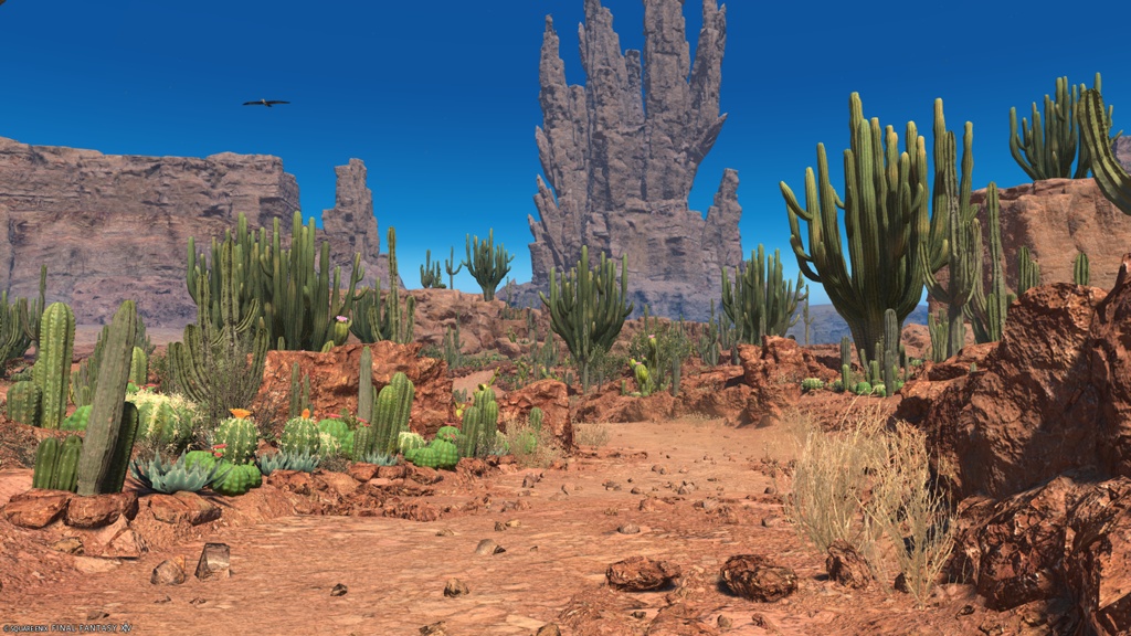 Mai Kuromatsu Blog Entry `Tender Valley Dungeon - Zeycihan's Expedition ...