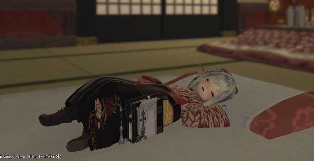 Kota Milala 日記「眠るエモート」 | FINAL FANTASY XIV, The Lodestone