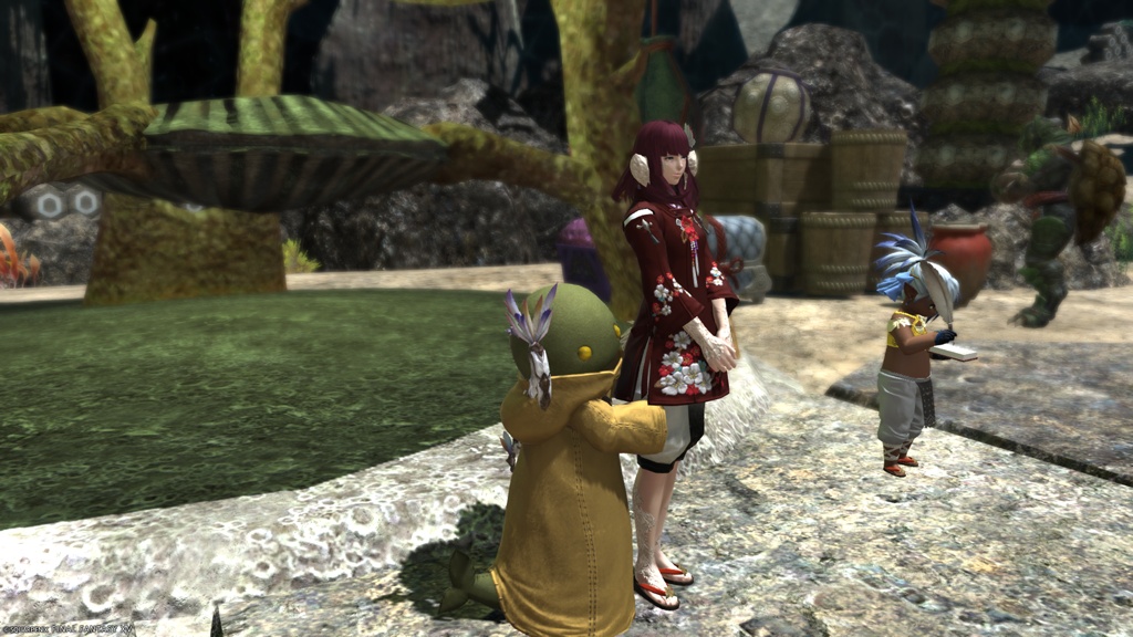 Tinpan Etan 日記「FF14好きなキャラランキングTOP3被らない説」 | FINAL FANTASY XIV, The Lodestone