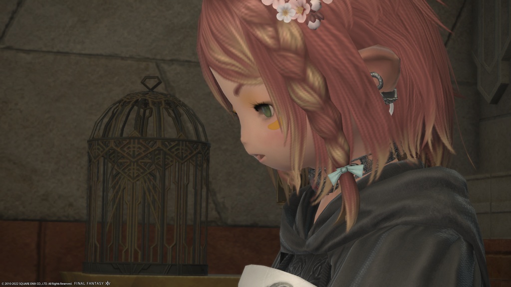 Kako Jun 日記「歩み194. ヘタだと思われることがツライけど、比較できない」 | FINAL FANTASY XIV, The Lodestone