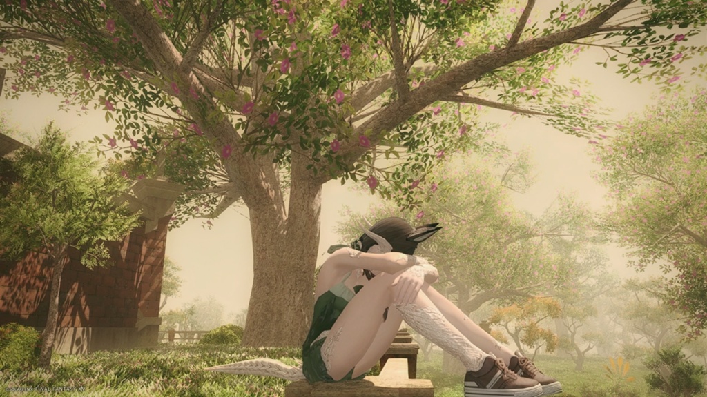 Nemui Nemui Blog Entry `power nap ` | FINAL FANTASY XIV, The Lodestone