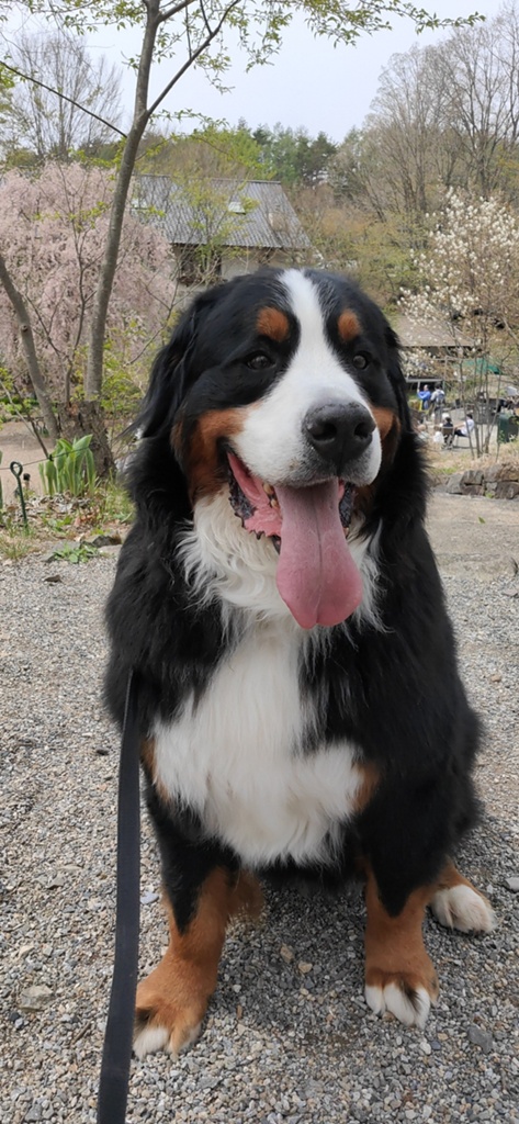 Look Alamode Blog Entry `GW〜` | FINAL FANTASY XIV, The Lodestone