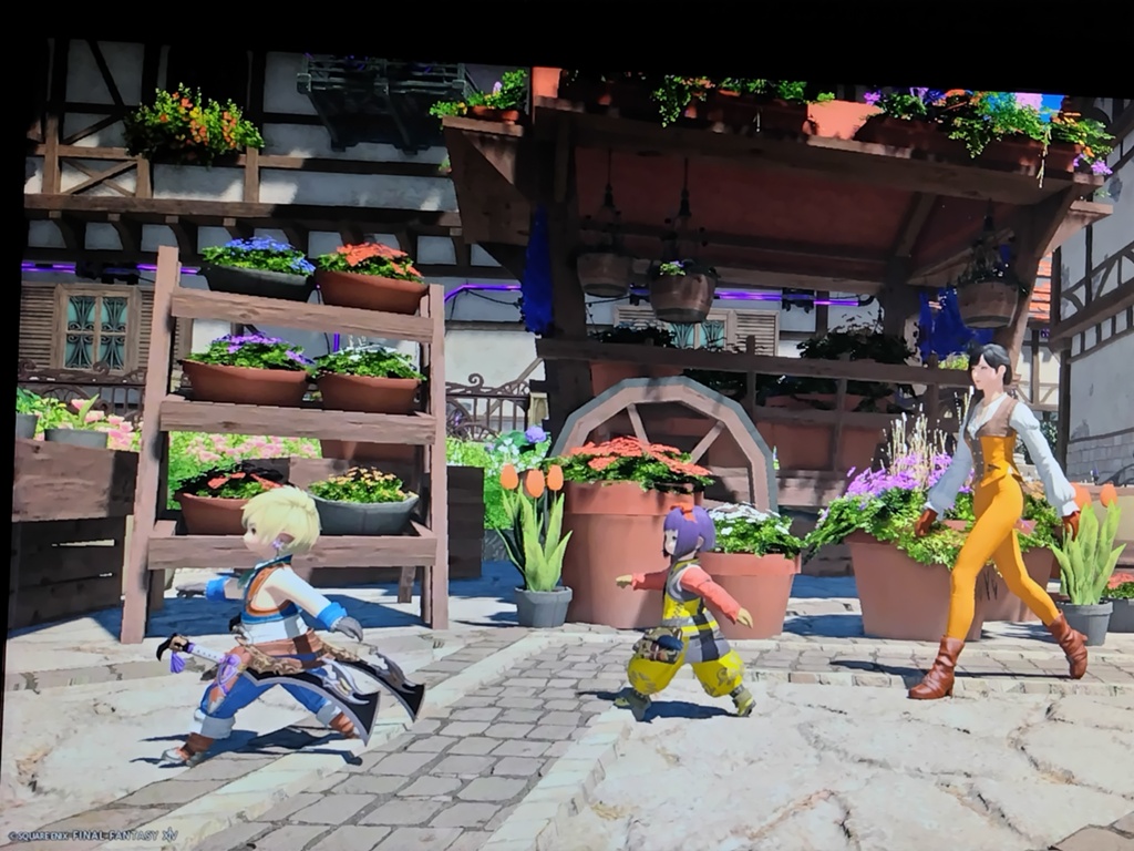 Linaria Snowdrop 日記「FF9併せの話」 | FINAL FANTASY XIV, The Lodestone