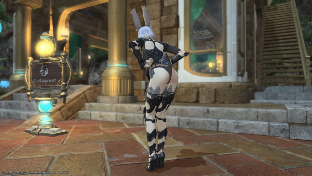 Sharon Whitlock 日記「6.55日記。ちょっとネタバレあり?」 | FINAL FANTASY XIV, The Lodestone