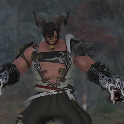 Blogs | FINAL FANTASY XIV, The Lodestone