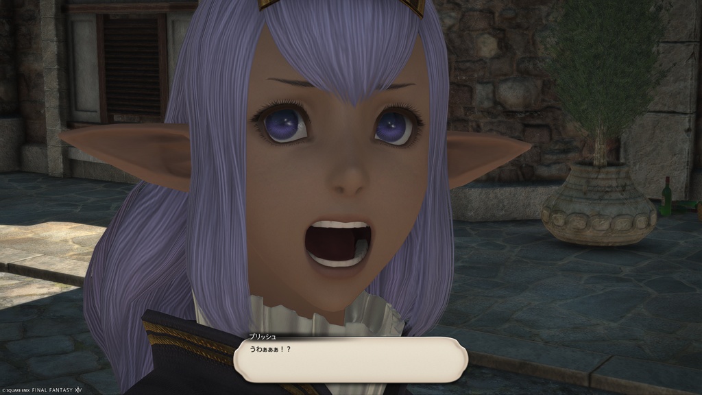 Bontz Kuromine 日記「【ネタバレ有】FF11の思い出が・・・思い出が・・・」 | FINAL FANTASY XIV, The Lodestone