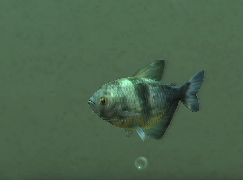 エオルゼアデータベース「ブラックテトラ」 | FINAL FANTASY XIV, The Lodestone