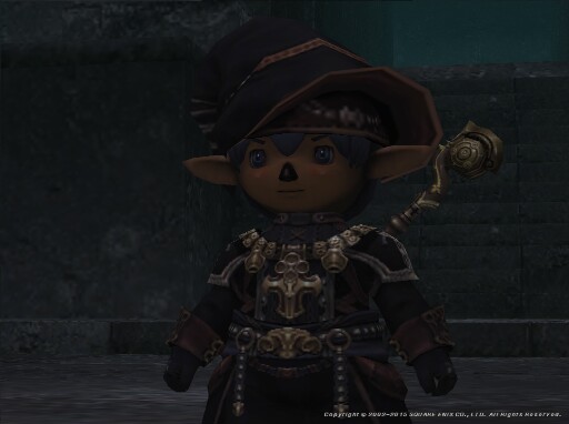 Vrtra Ace 日記「FF11のイロハをご紹介」 | FINAL FANTASY XIV, The Lodestone