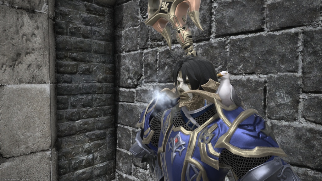 Zissa Jinhalt 日記「野良参加希望は忍耐！大迷宮バハムートに行きたい」 | FINAL FANTASY XIV, The ...