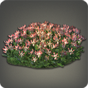 Eorzea Database: Ihuykatumu Flower Plot | FINAL FANTASY XIV, The Lodestone