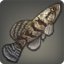 Eorzea Database: Trahira | FINAL FANTASY XIV, The Lodestone