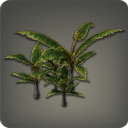 Eorzea Database: Garden Palm Tree | FINAL FANTASY XIV, The Lodestone