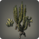 Eorzea Database: Cactus Patch | FINAL FANTASY XIV, The Lodestone